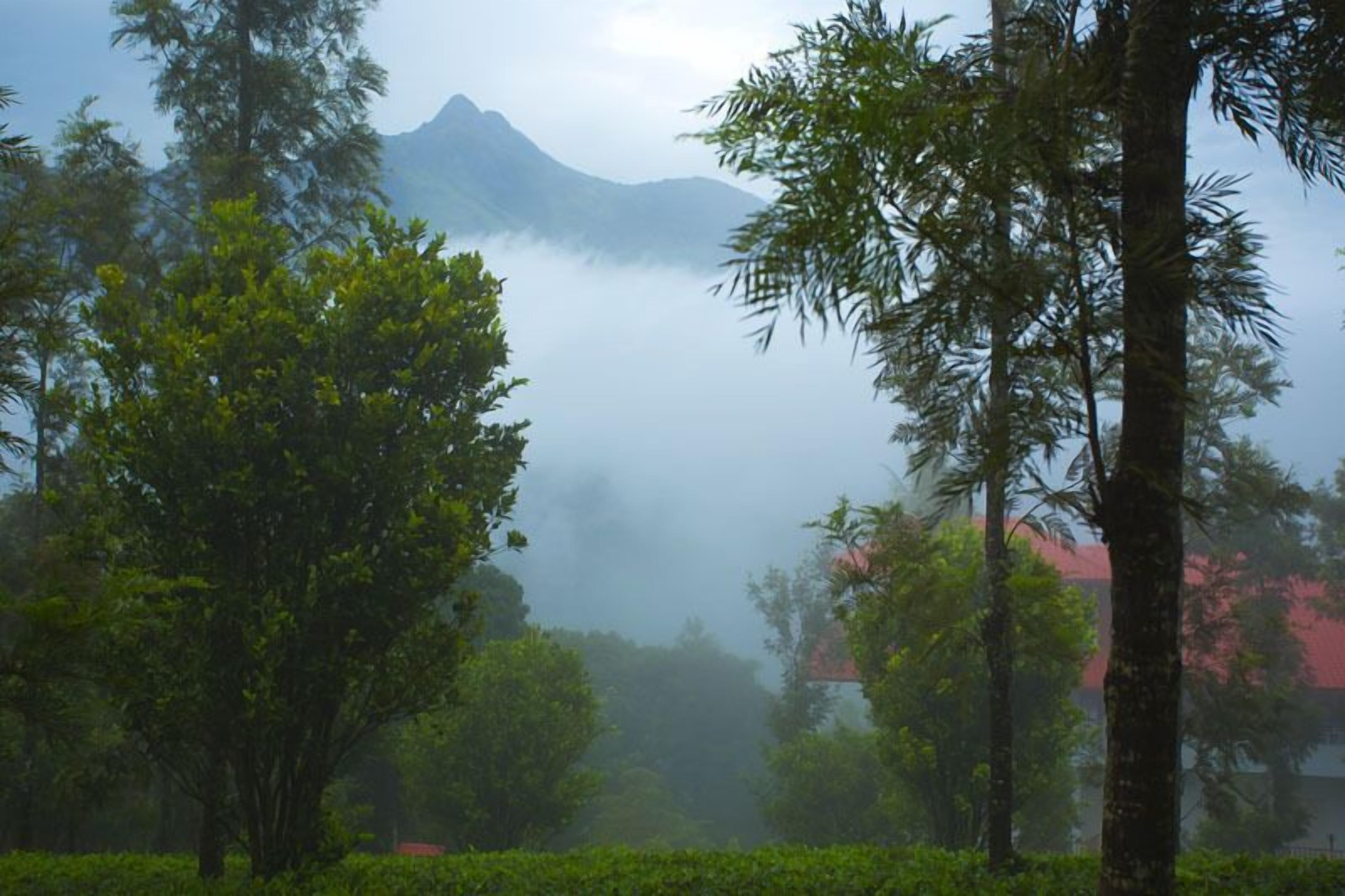 Uma área arborizada com uma montanha ao fundo e um edifício com telhado vermelho.