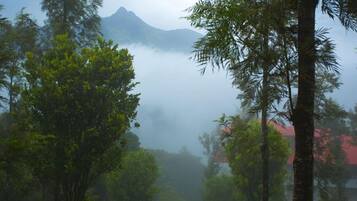 Uma área arborizada com uma montanha ao fundo e um edifício com telhado vermelho.