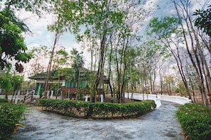 Jardim