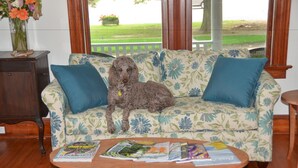 Um cão sentado em um sofá estampado com flores, com uma mesa de centro de madeira à frente.