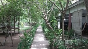 Uma passagem de concreto ladeada por árvores e plantas, conduzindo a um edifício com telhado de metal corrugado.