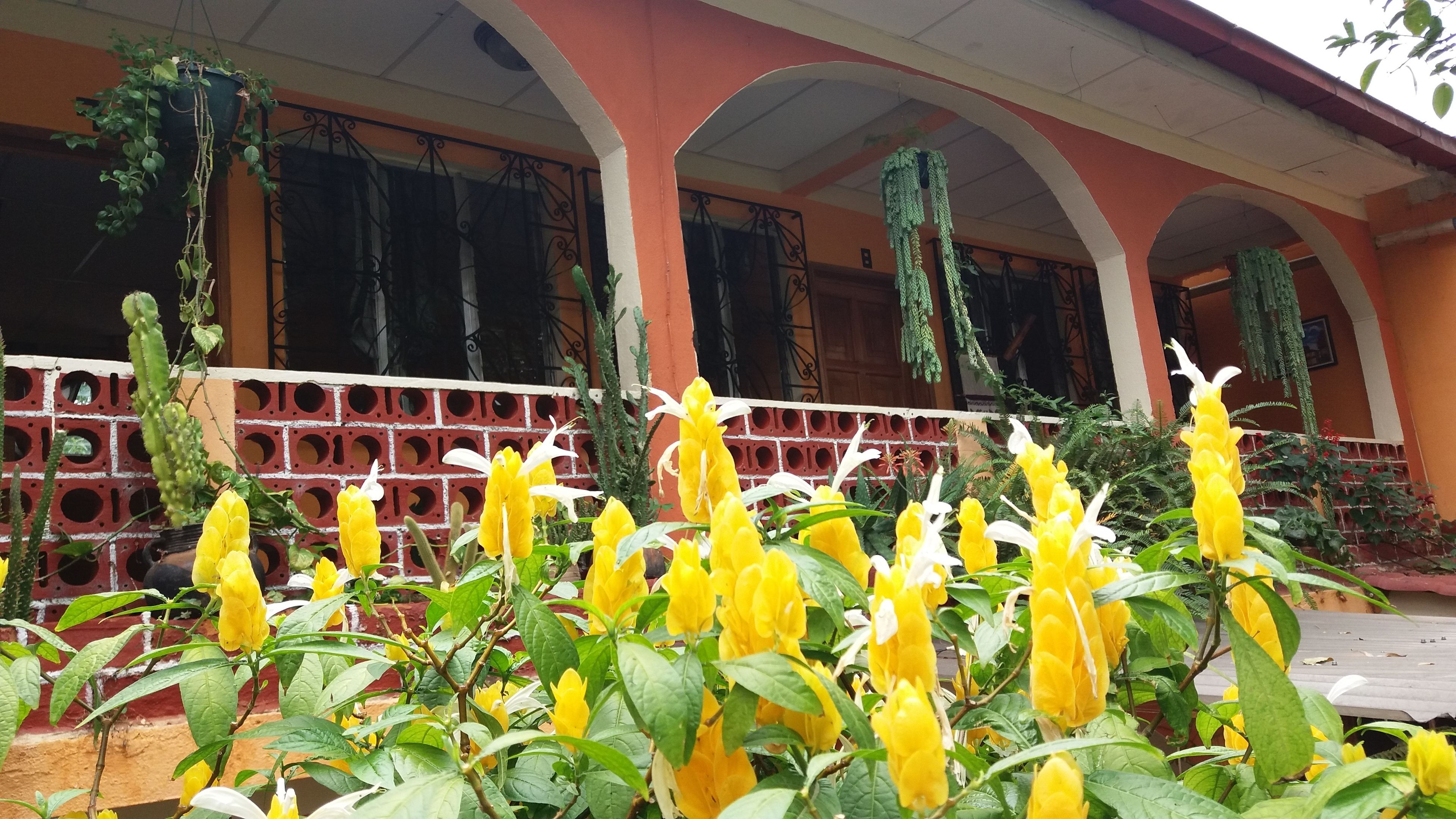 Fachada do alojamento