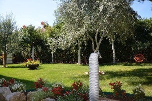 Jardim