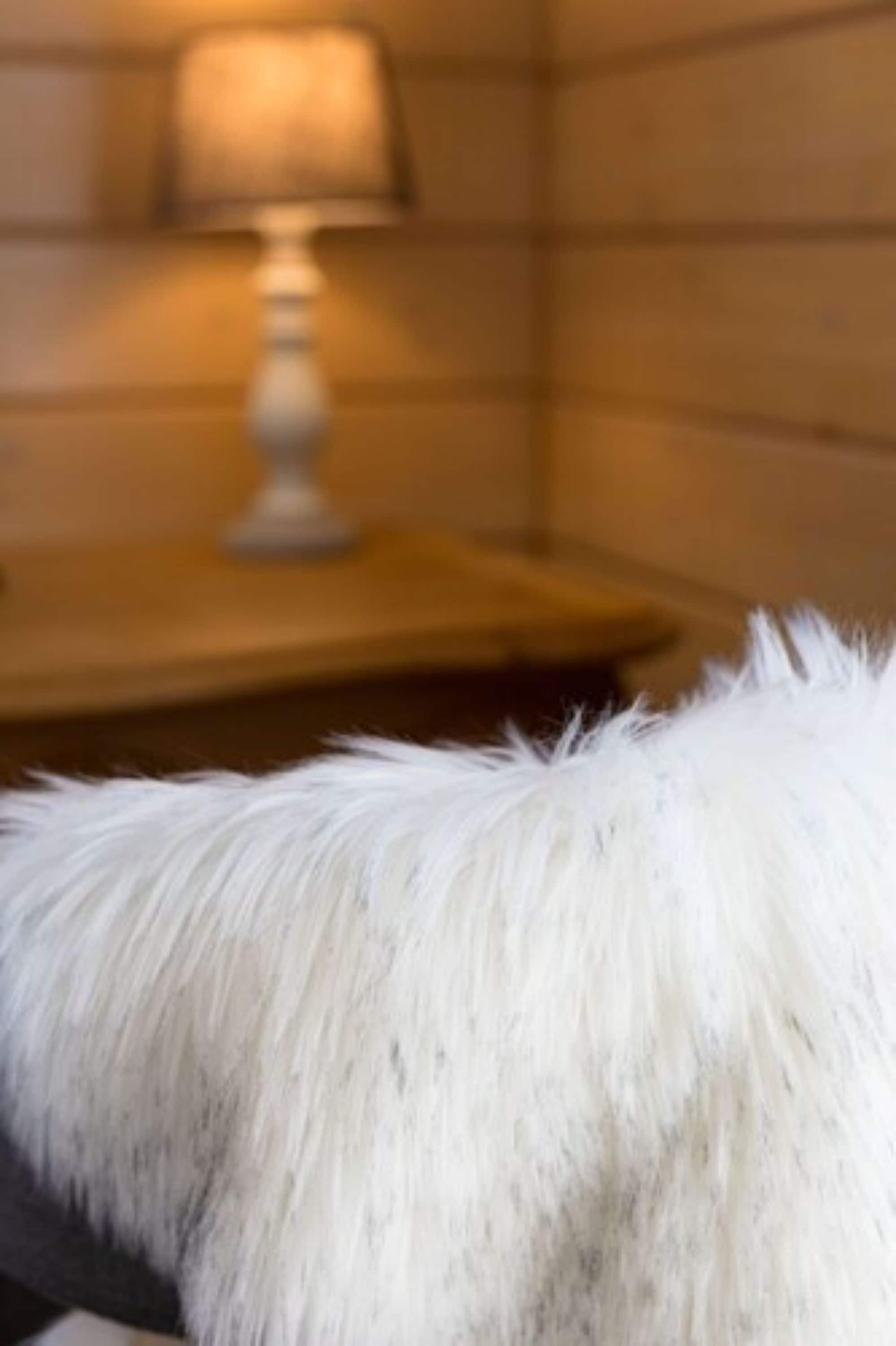 Um objeto branco e felpudo, possivelmente um animal de estimação, em um quarto com uma luminária sobre uma mesa de madeira.