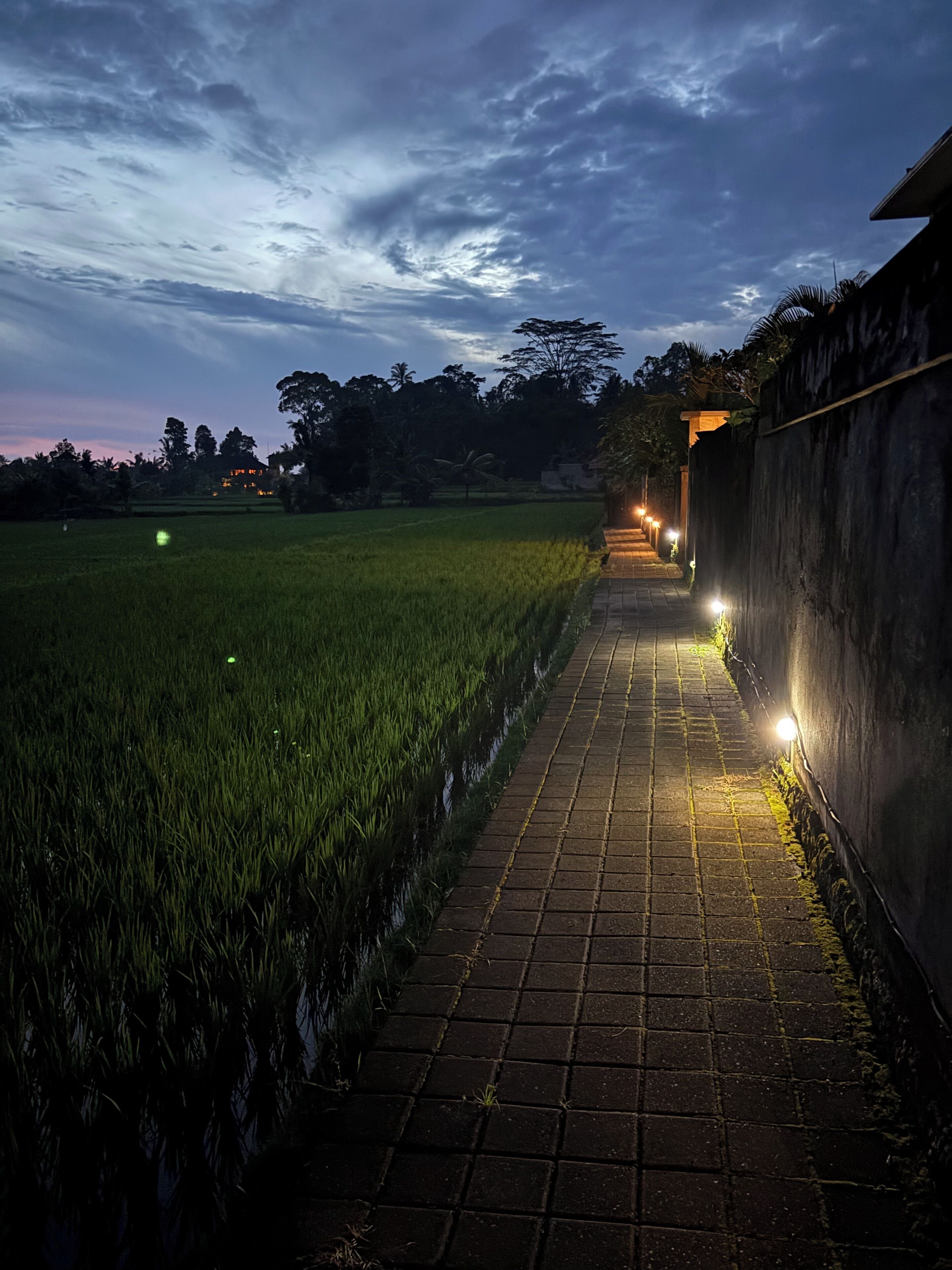 Uma passagem serpenteia por um campo, com um muro lateralmente e um edifício ao longe.