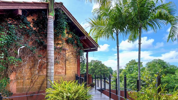 Um deck de madeira com um muro de tijolos coberto por trepadeiras, cercado por palmeiras e vegetação exuberante.