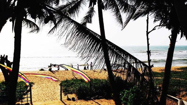 Uma praia com palmeiras, um caminho de areia e um posto de salva-vidas.