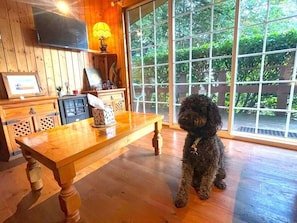 Cabana de Madeira Tradicional, casa de banho privativa, vista para o jardim (Tiny Rustic) | Lounge