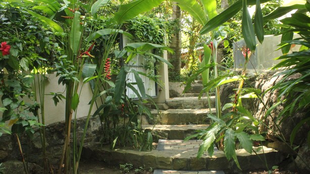Uma escadaria de pedra cercada por vegetação exuberante e plantas.