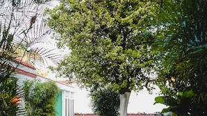 Uma trilha que leva a um edifício, com vista para um corpo d'água.