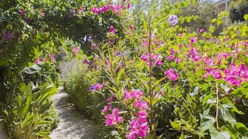 Jardim
