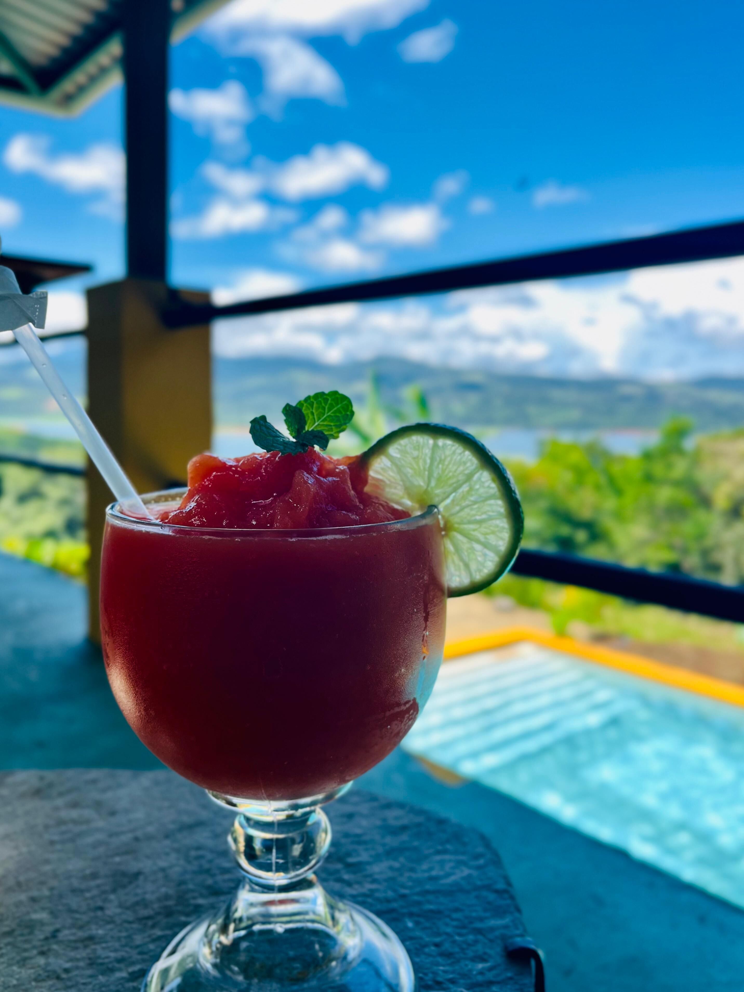 Um copo de bebida vermelha com uma fatia de limão e folhas de hortelã, colocado sobre uma mesa com vista panorâmica para montanhas e céu ao fundo.