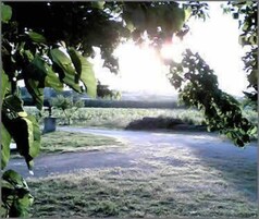 Área da propriedade