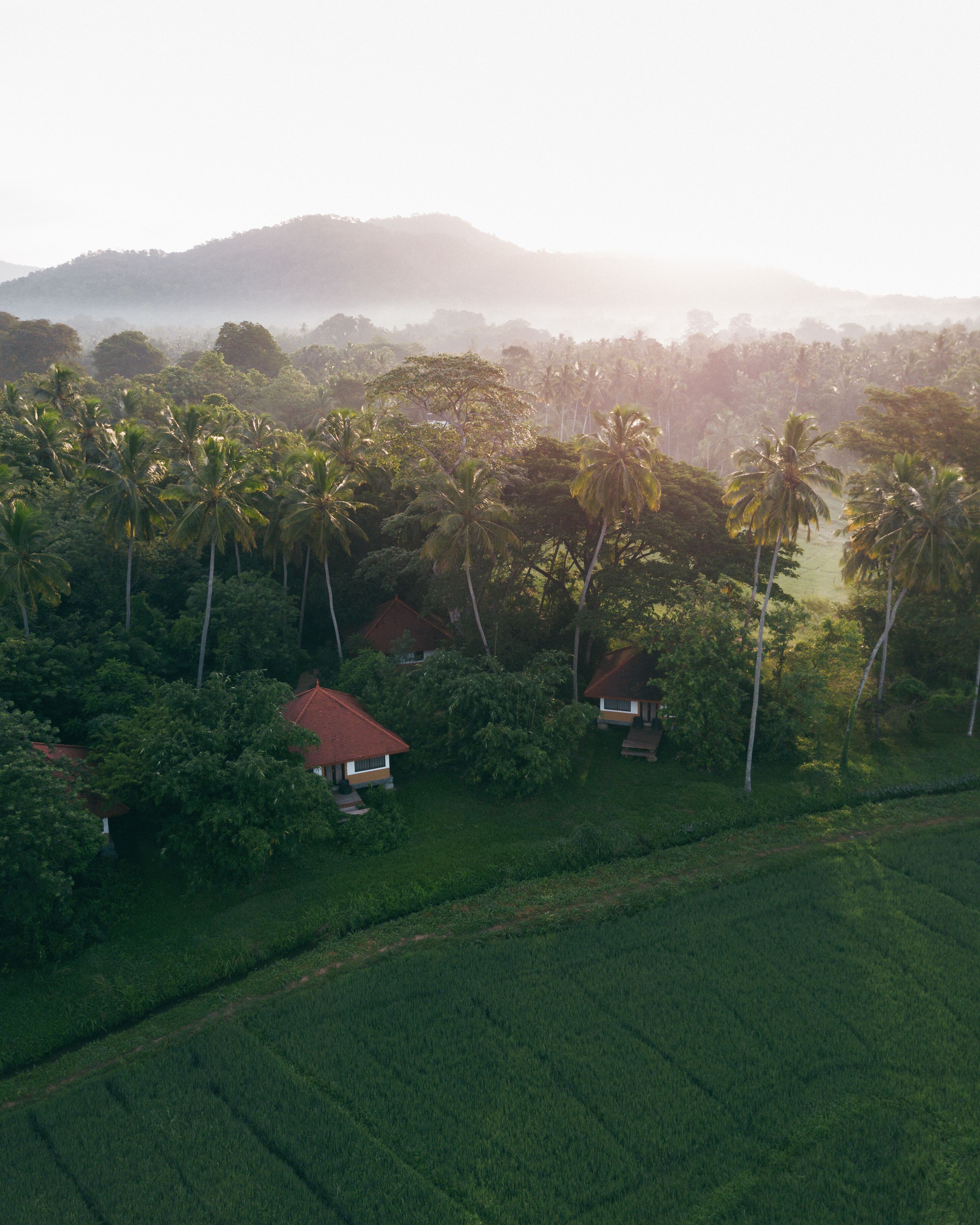 Vista aérea de uma paisagem rural com vegetação exuberante, palmeiras e casas tradicionais com telhados vermelhos.