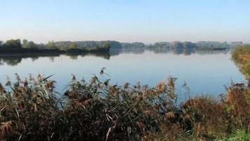 Lago