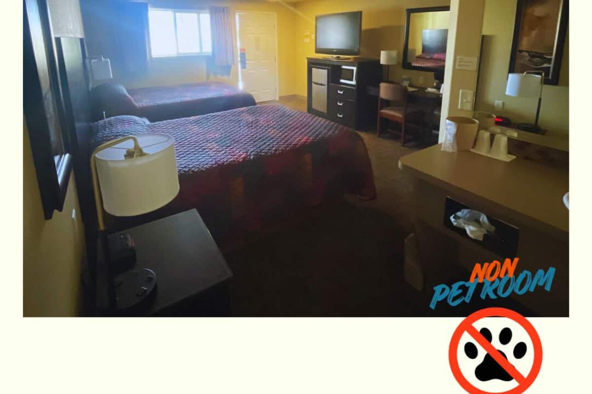 Quarto Deluxe, 2 camas queen-size | Ferro/tábua de engomar, Wi-fi grátis, roupa de cama fornecida