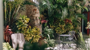 Uma área de pátio com mesa e cadeiras de pedra, rodeada por plantas tropicais exuberantes e uma grande árvore.