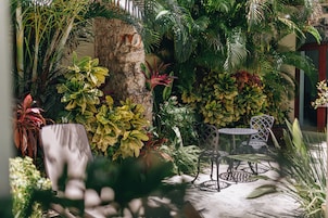 Uma área de pátio com mesa e cadeiras de pedra, rodeada por plantas tropicais exuberantes e uma grande árvore.