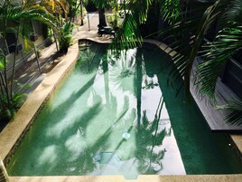 Piscina retangular com borda azulejada, cercada por palmeiras e uma cerca.