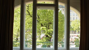 Quarto com uma janela grande com vista para uma árvore e uma varanda.
