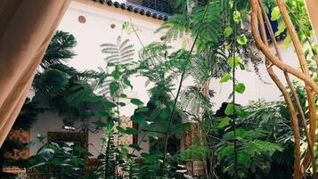 Área da propriedade