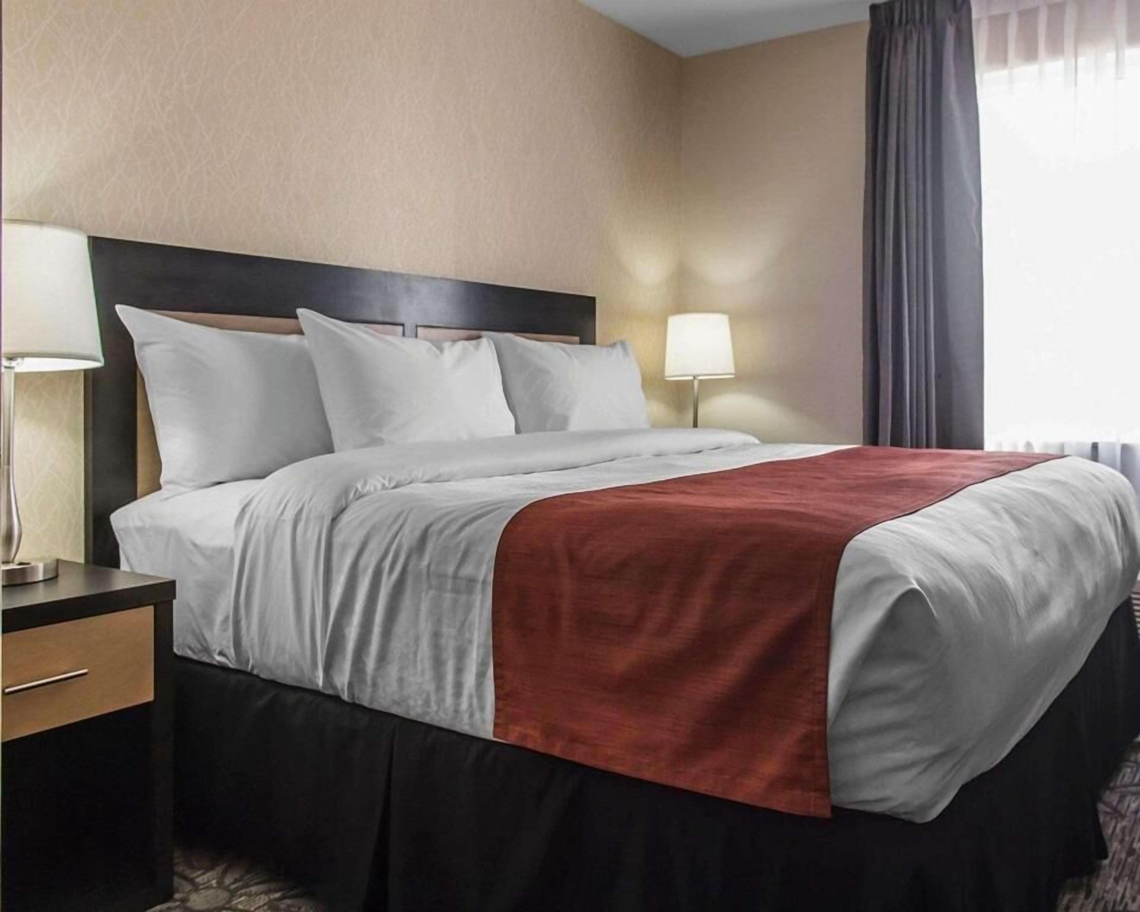 Roupas de cama antialérgicas, escrivaninha