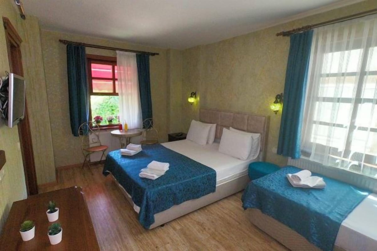 Quarto de hotel com duas camas, uma mesinha com plantas em vasos, uma cadeira e uma janela com cortinas.