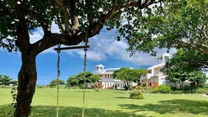 Uma árvore com um balanço, uma área gramada e um edifício com várias janelas e fachada branca.