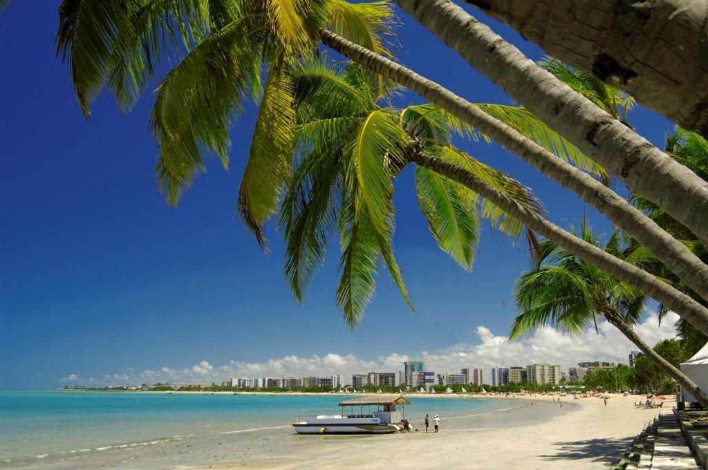 Uma praia com palmeiras, um barco e o horizonte de uma cidade ao fundo.