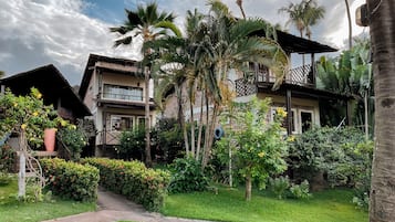 Jardim