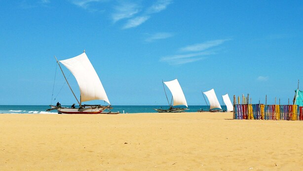 Uma praia com vários barcos à vela ancorados na areia.