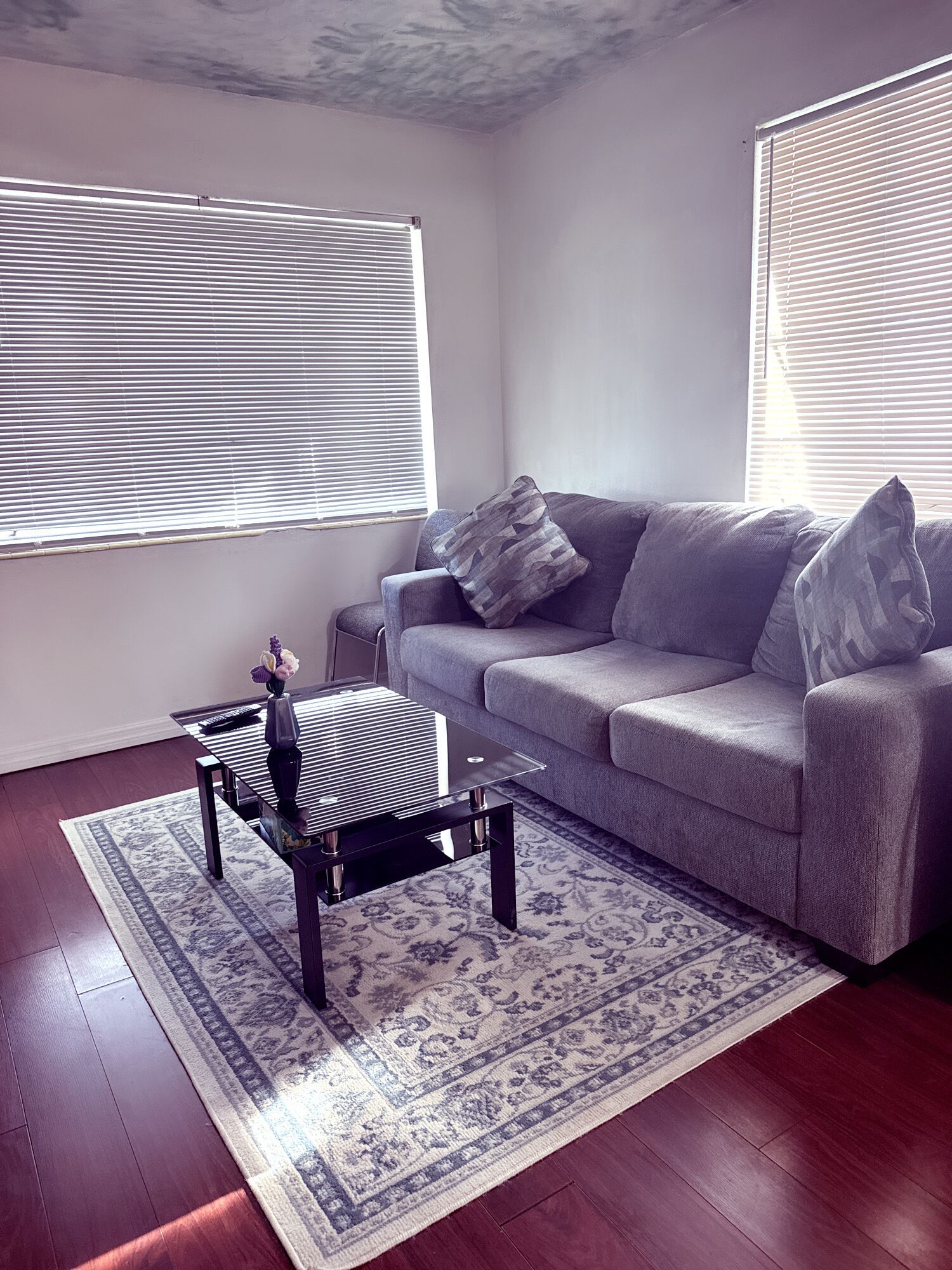 Terrific 2-bedroom House With Ac In Sunny Bradenton - Sarasota, FL