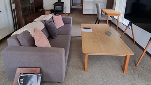 Uma sala de estar com sofá, mesa de centro, televisão, lareira e estante de livros.