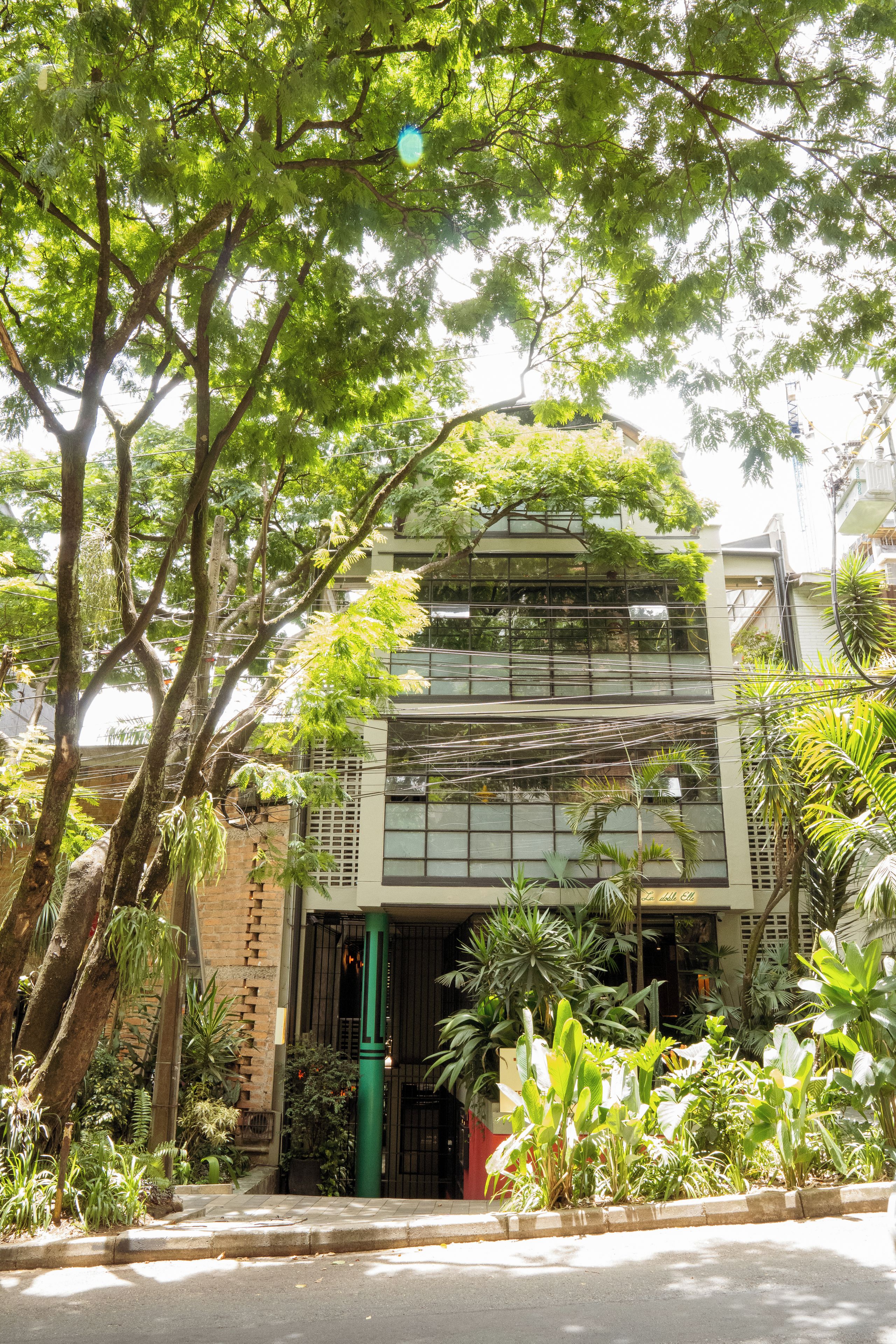 Um edifício com fachada de vidro, cercado por vegetação exuberante e árvores.