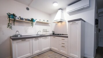 Apartamento econômico, vista para o lago | Cozinha privada