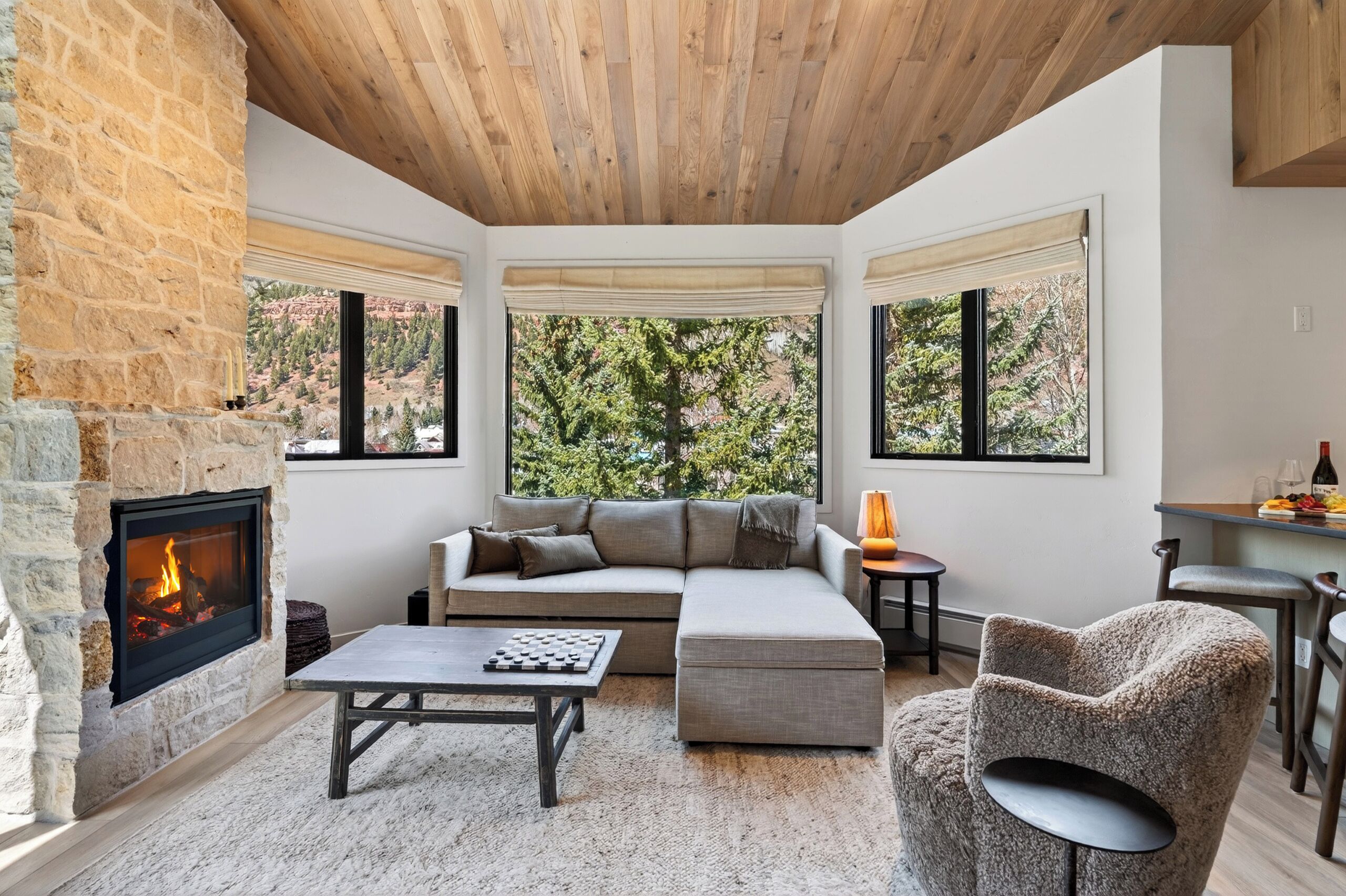 Shared Hot Tub + Mtn Views | Walk To Gondola + River Trail | - Telluride, CO