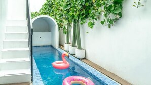 Piscina com dois flutuadores infláveis, escadaria e plantas em vasos.