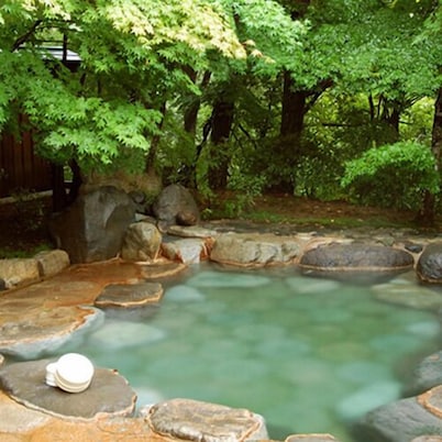 Hotel Zao Mets