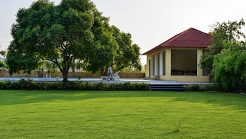 Jardim