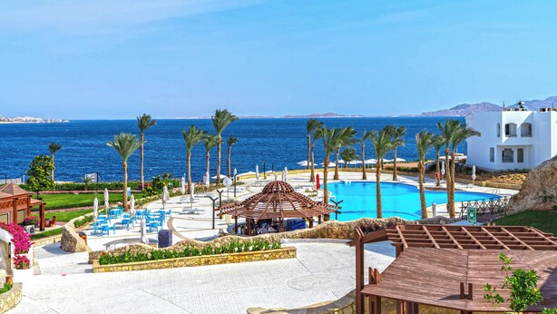 Um resort com piscina, palmeiras e vista para o mar.