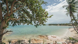 Uma praia com águas cristalinas, cadeiras de praia e uma grande árvore que oferece sombra.