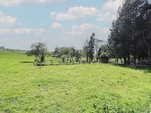 Um campo gramado com árvores e uma cerca de madeira.