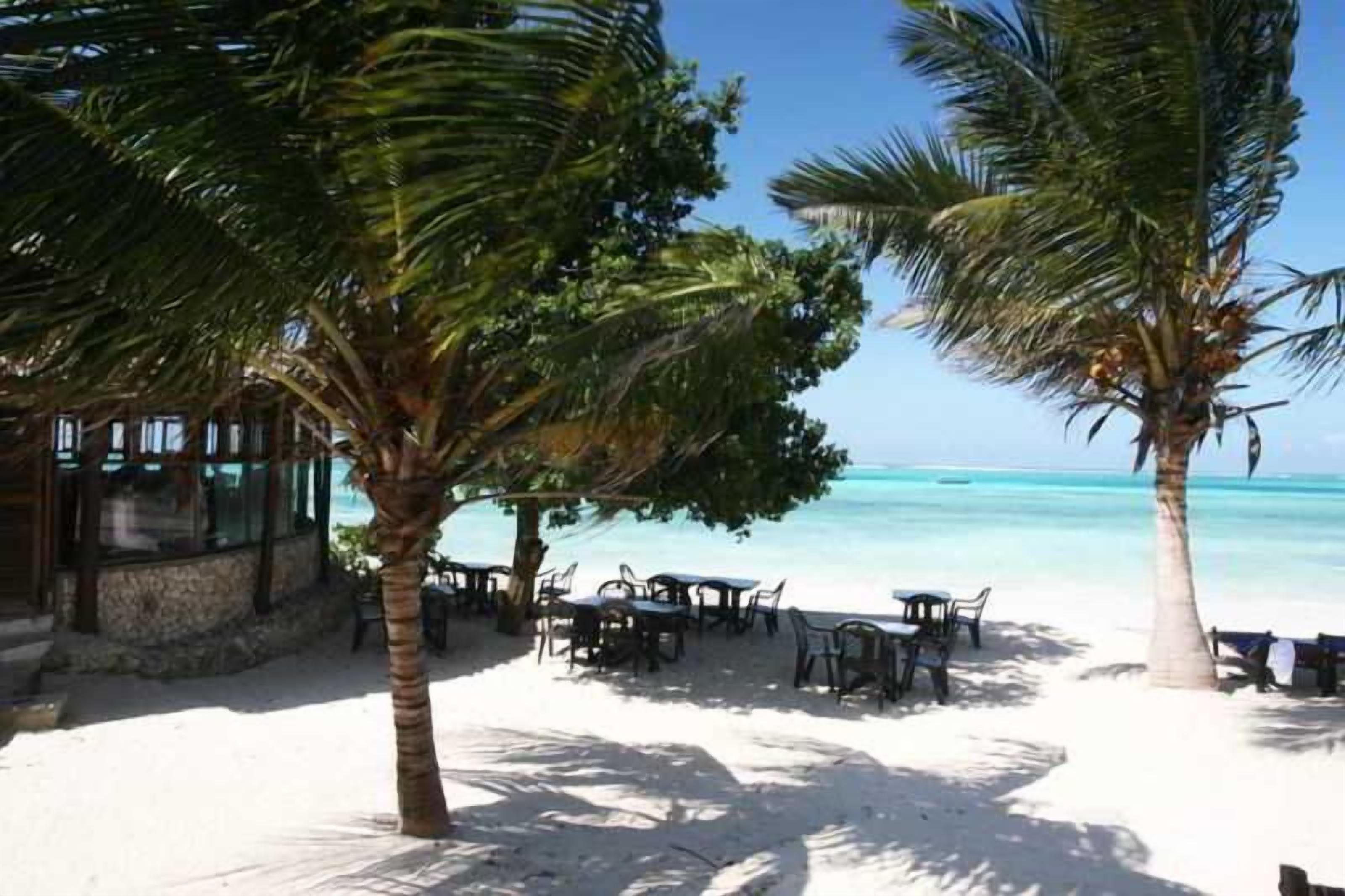 Um restaurante à beira-mar com mesas ao ar livre, palmeiras e vista para o oceano.