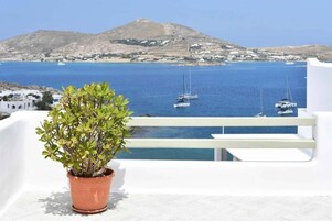 Planta em vaso numa varanda com vista para uma vila costeira, barcos na água e uma montanha ao fundo.