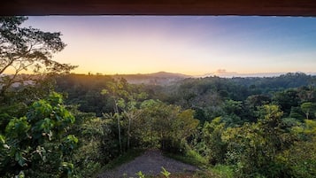 Vista da propriedade