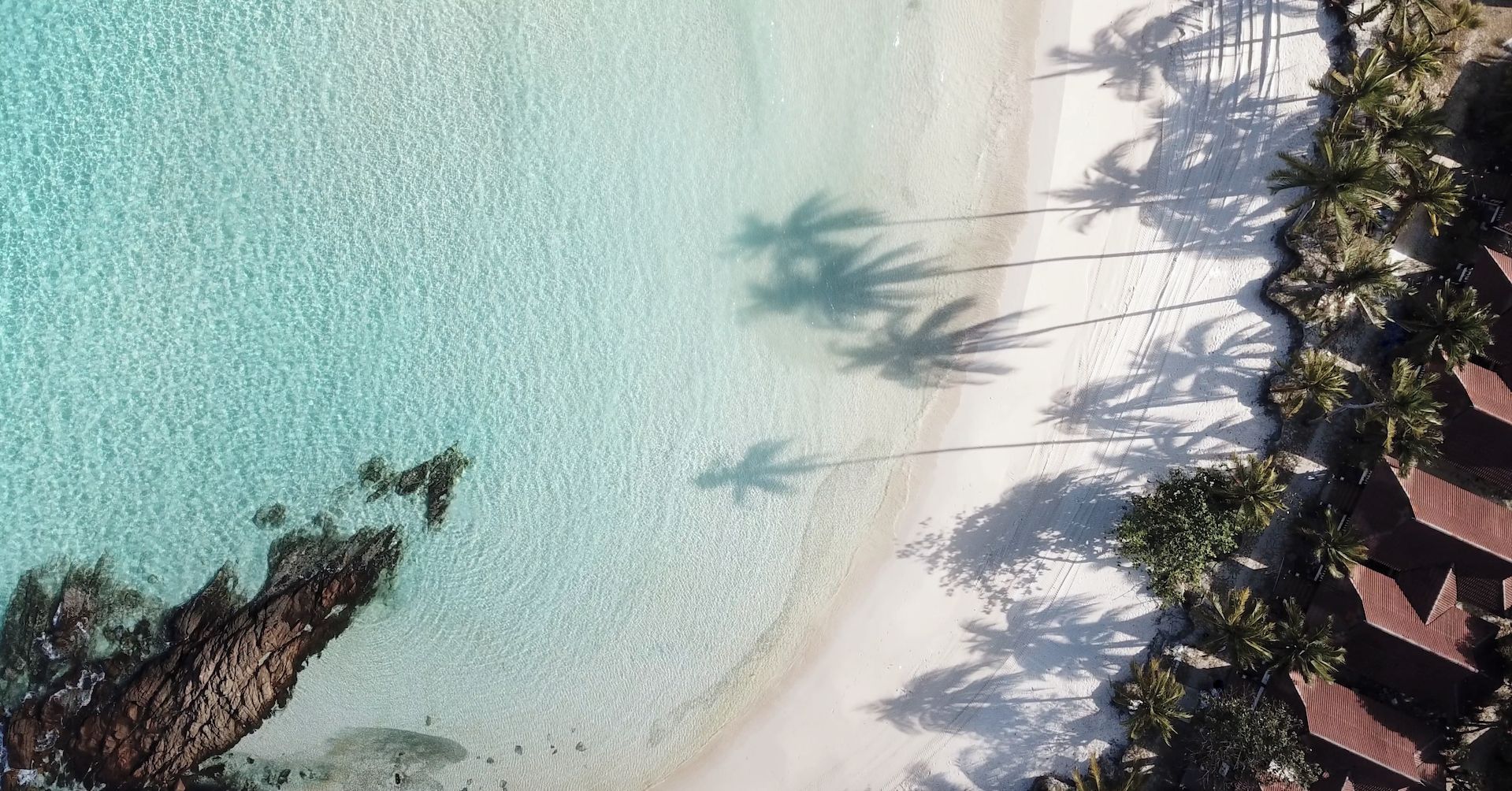 Vista aérea de uma praia com águas turquesa cristalinas, areia branca e palmeiras.