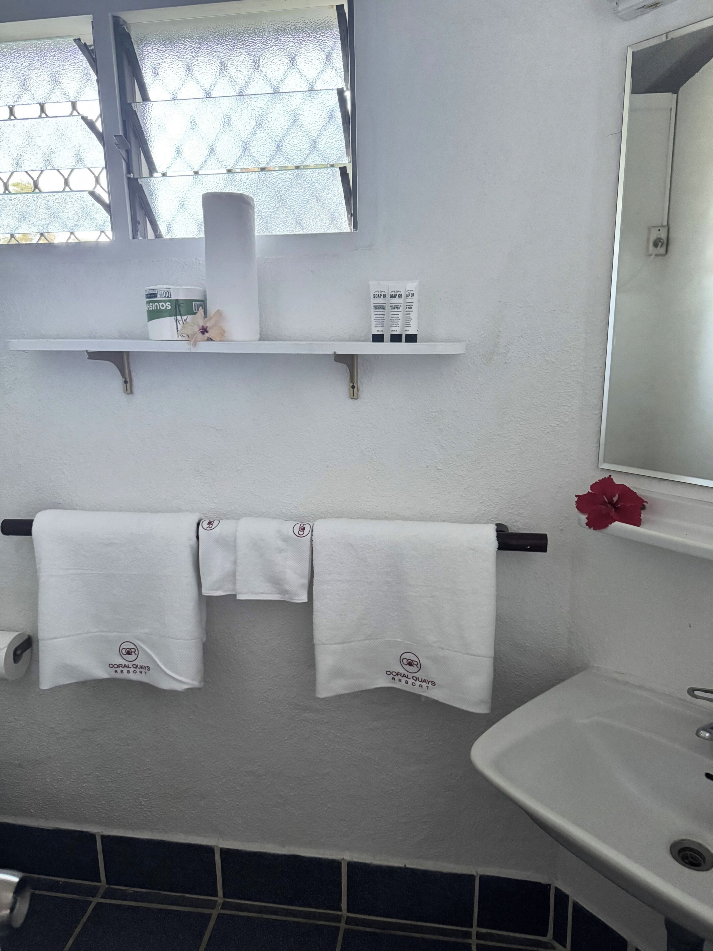 Uma casa de banho com uma pia branca, um espelho, duas toalhas penduradas num porta-toalhas, uma prateleira com artigos de higiene e uma janela com vista.