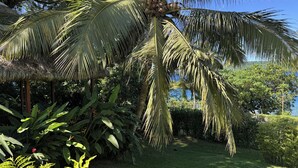 Um jardim tropical com palmeiras, vegetação exuberante e um céu azul límpido.