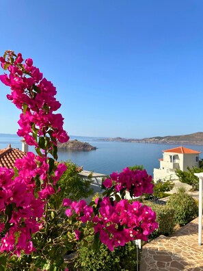 Vista costeira com flores de bougainvillea, céu azul límpido e mar ao longe.