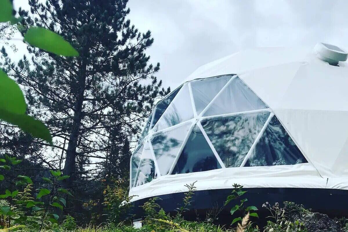 Uma estrutura em forma de cúpula geodésica, com design geométrico marcante, rodeada por vegetação e árvores.